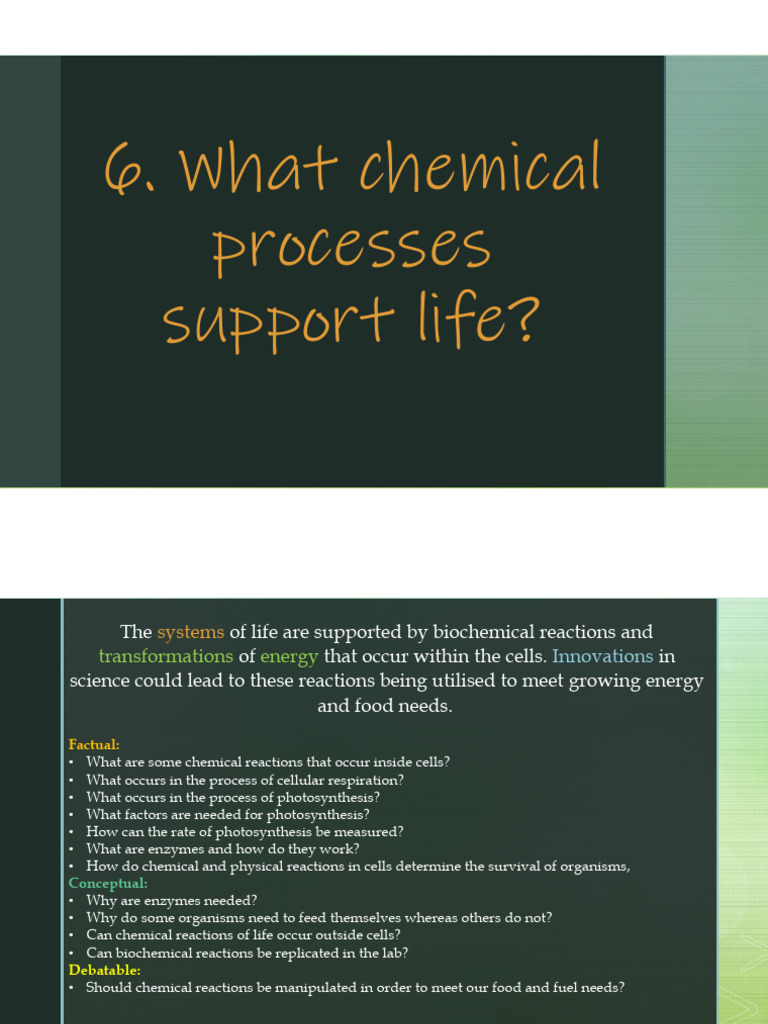 IB MYP Bio - Unit 6. What Chemical Processes Support Life | PDF ...