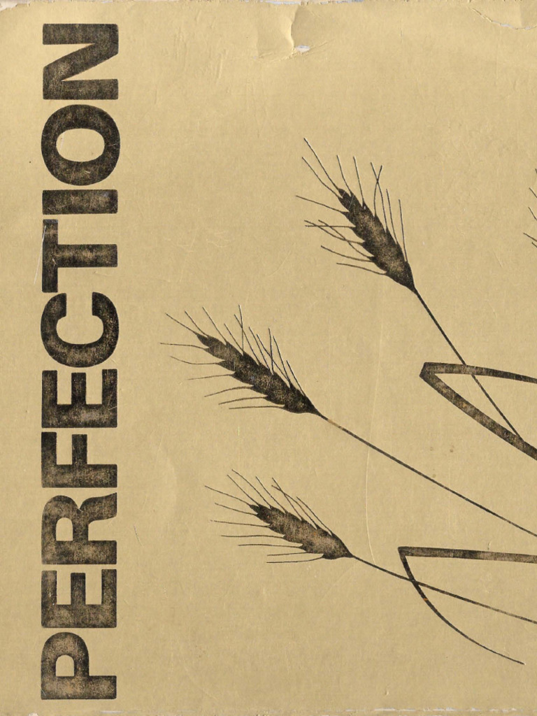 Perfection The Impossible Possibility (Herbert E. Douglass, Edward ...