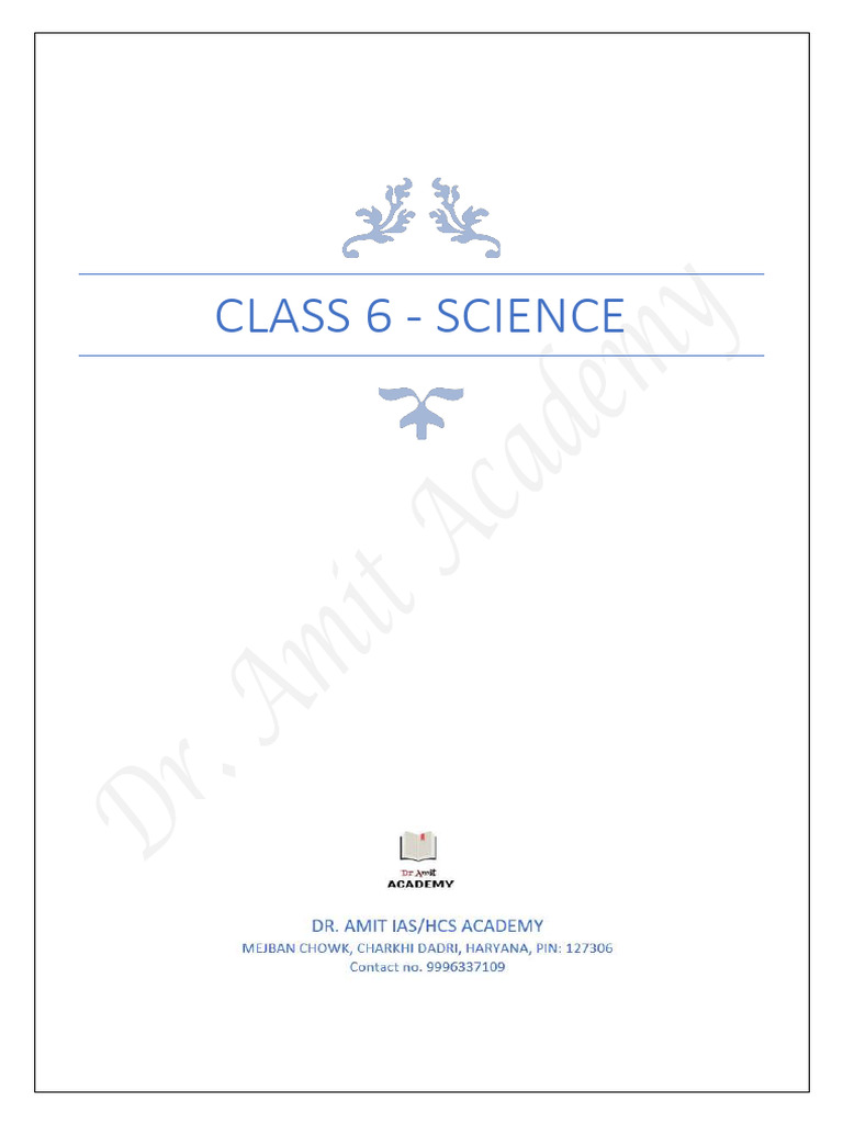 Class 6 Science NCERT | PDF | Leaf | Foods