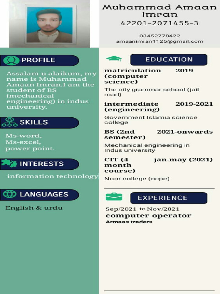 Muhammad Amaan Imran CV | PDF
