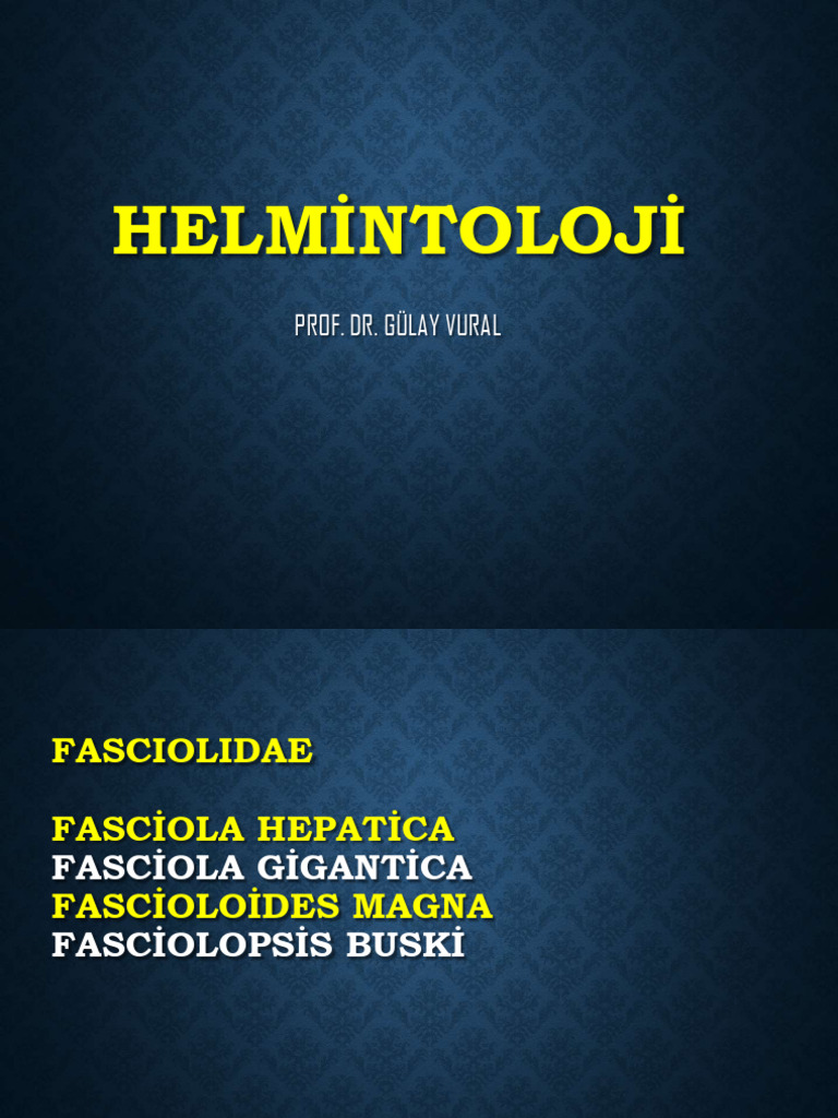 2u. Fasci̇oli̇dae Ii, Paramphistomidae, Notocotylidae | PDF