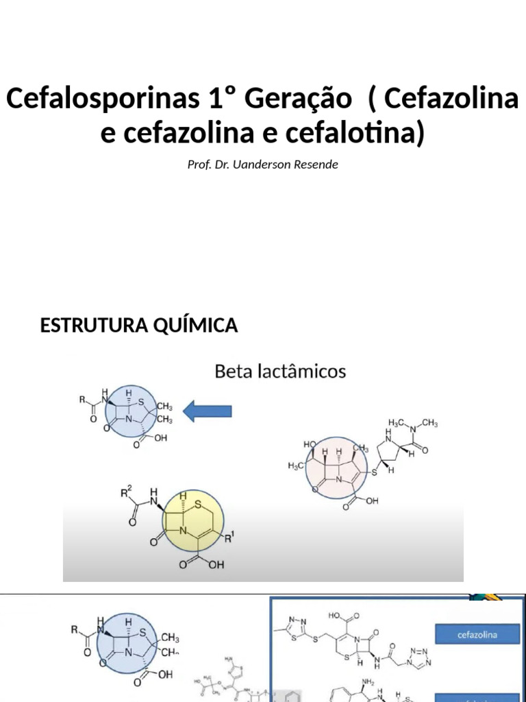 Cefalosporinas de 1ª Geração: Cefazolina e Cefalotina | PDF