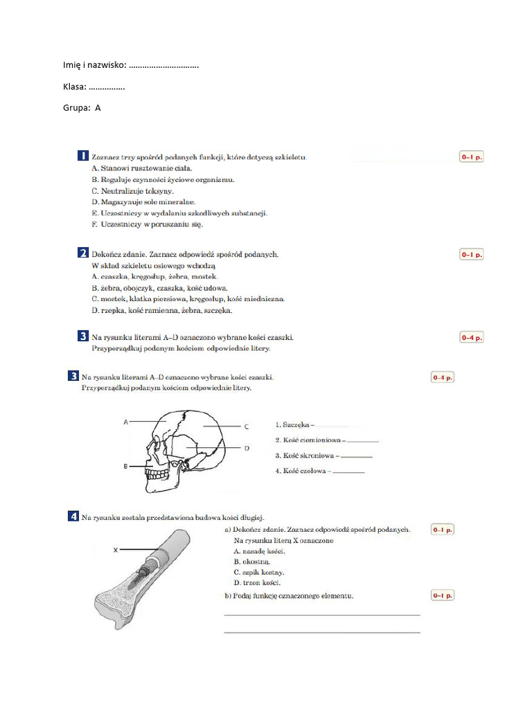 Sprawdzian Dział 2 Klasa 7 | PDF