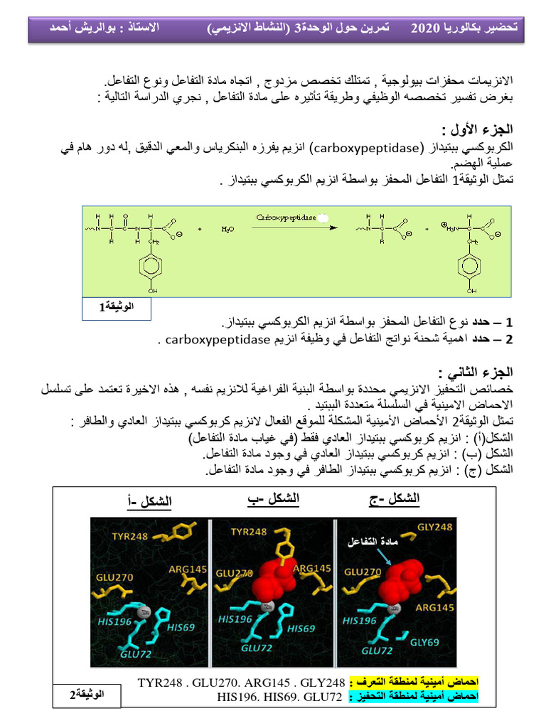 dzexams-docs-3as-907249 (1) | PDF