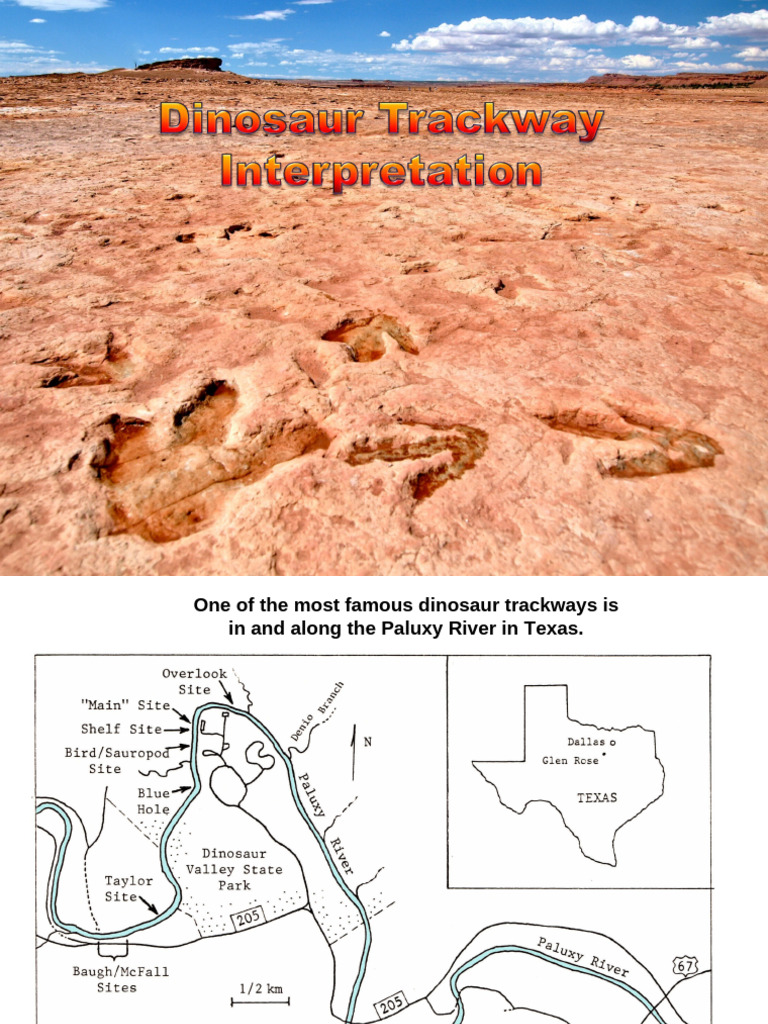 9.2 Trackway Interpretation | PDF | Dinosaurs