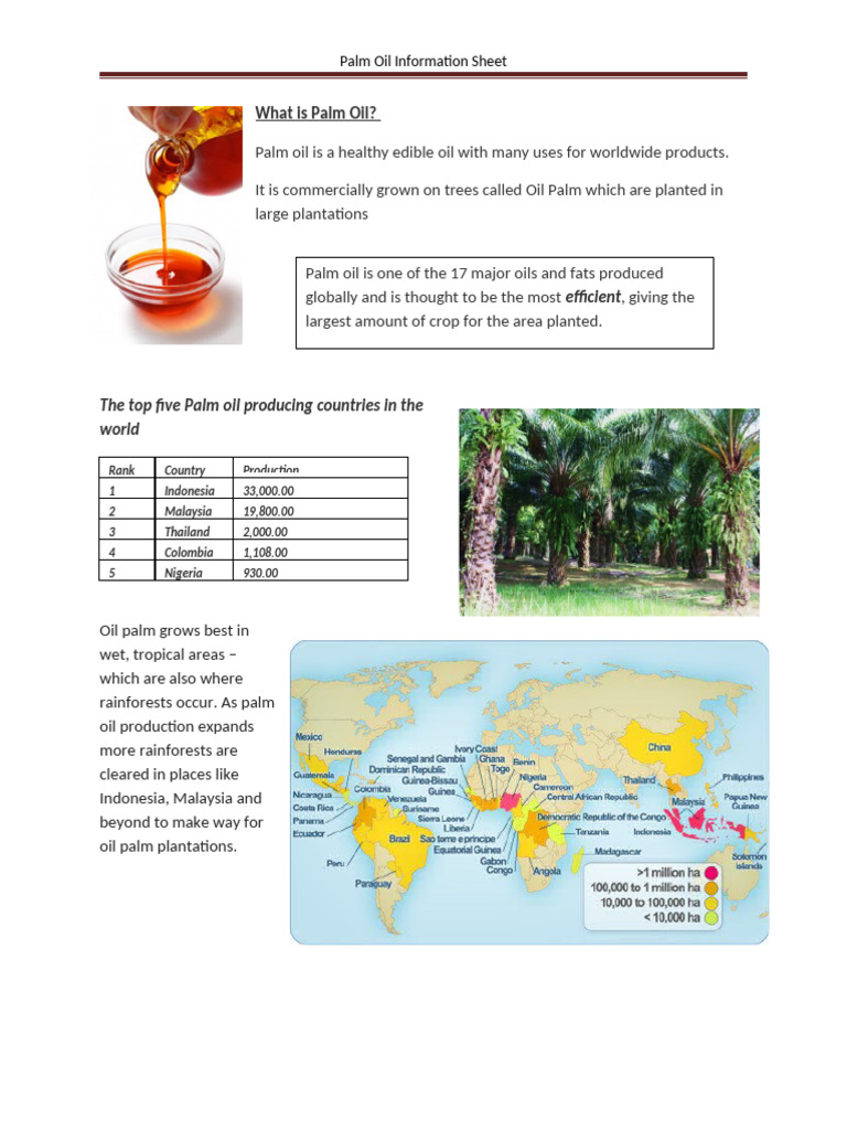 Palm Oil Debate Information Sheet | PDF | Palm Oil | Deforestation