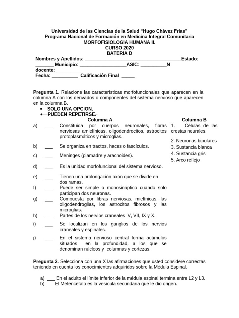 Modelo de Examen Morfo 2 | PDF | Cerebro | Médula espinal