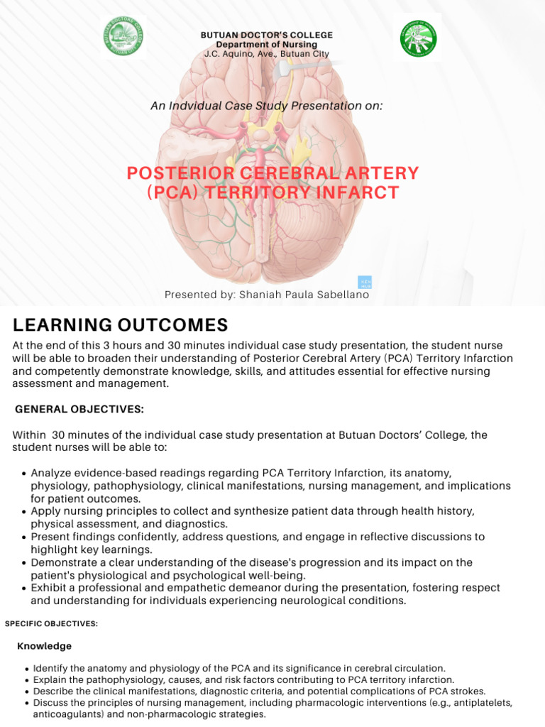 Pca | PDF | Stroke | Thalamus