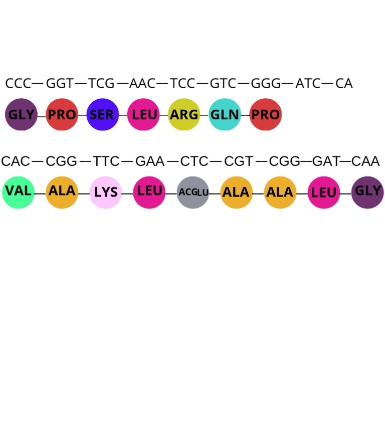 CCC GGT TCG Aac TCC GTC GGG Atc CA | PDF
