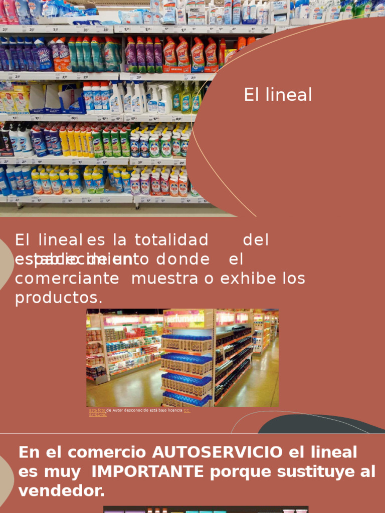 UD2 Disposición de Los Productos en El Lineal | PDF