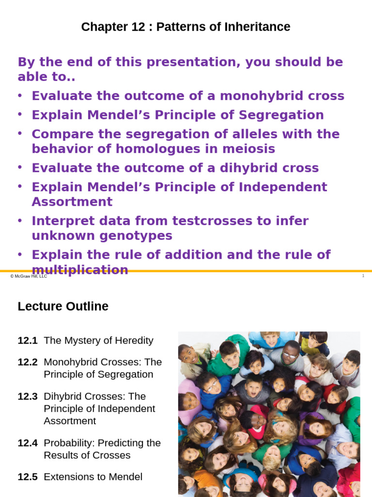 Chapter 12 Patterns of Inheritance | PDF | Dominance (Genetics) | Allele