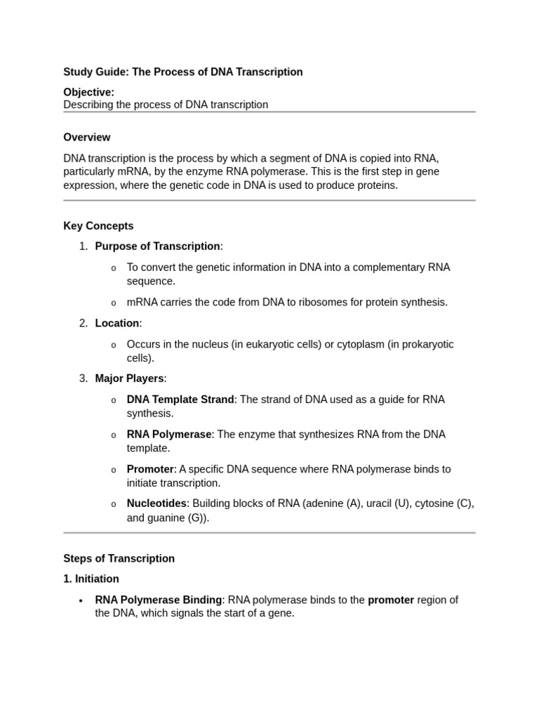 Study Guide - Topic 2 Transcription Translation | PDF | Rna | Dna