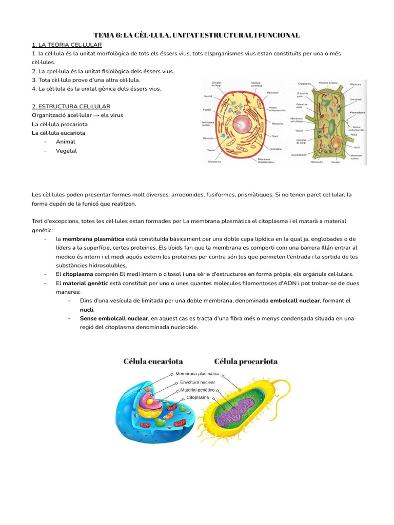 wuolah-free-tema-6-la-cel·lula-unitat-estructural-i-funcional-gulag-free | PDF