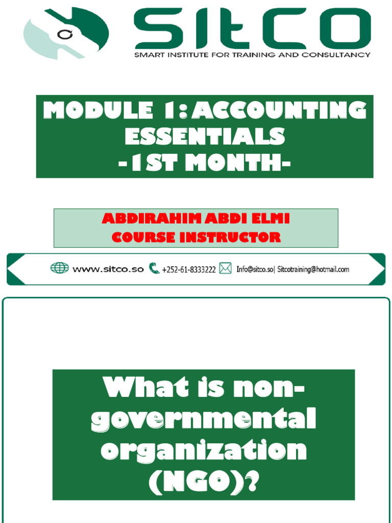 1WhatisNGOs-220710-100130 | PDF