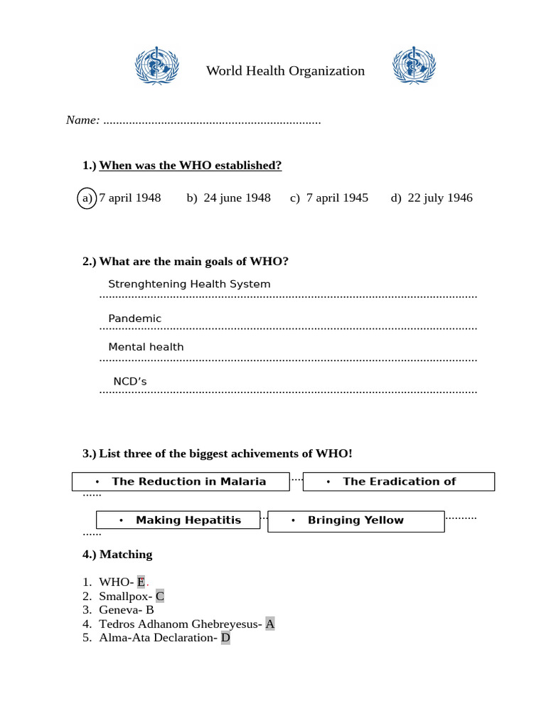 WHO Overview: History, Goals, Achievements | PDF