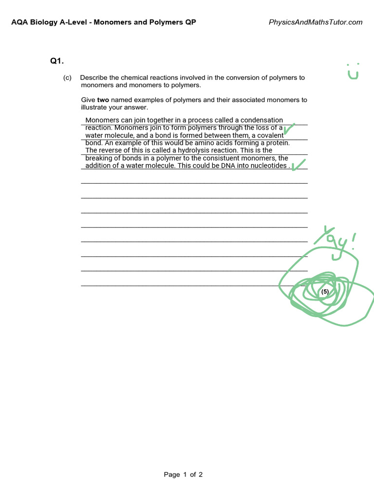 Monomers and Polymers Explained | PDF | Polymers | Monomer