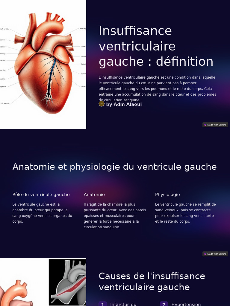 Insuffisance Ventriculaire Gauche Definition 3 | PDF
