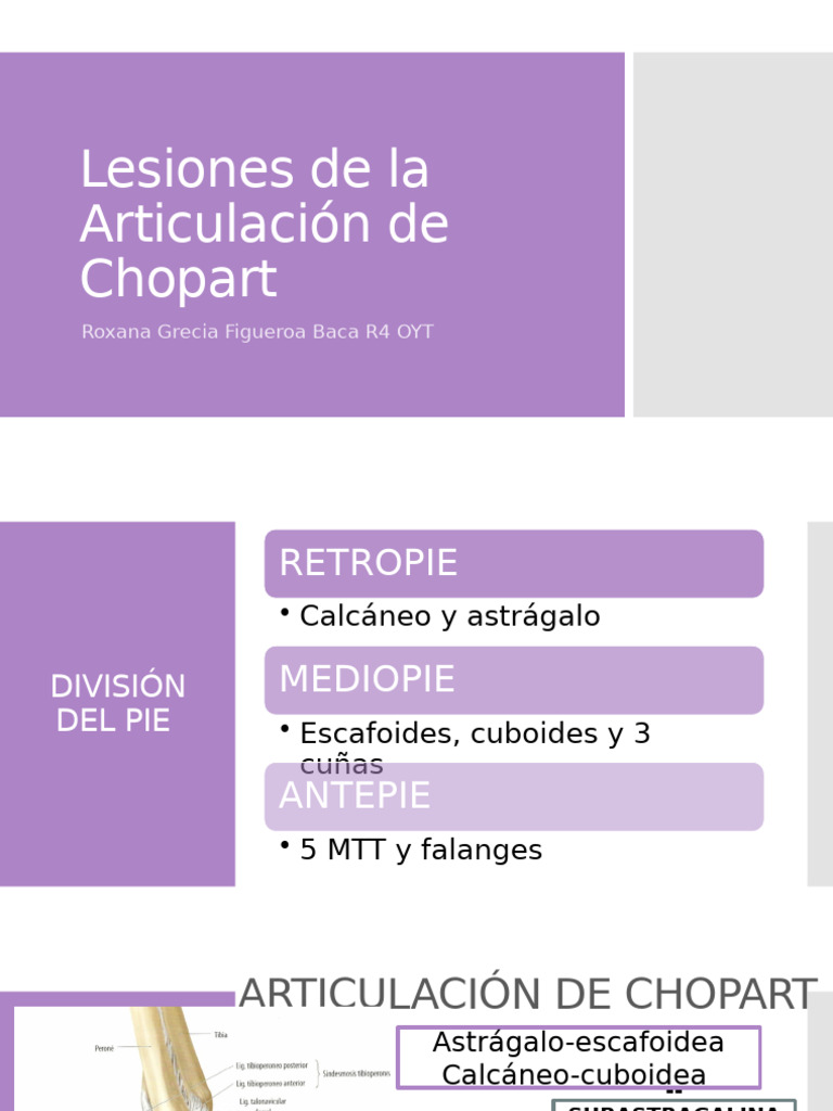 Fractura de Chopart | PDF | Pie | Sistema musculoesquelético