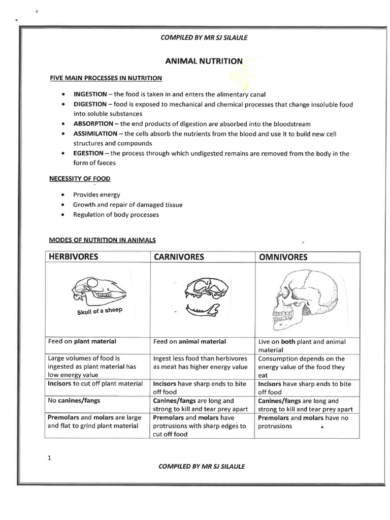 Animal Nutrition Part 1 Notes | PDF
