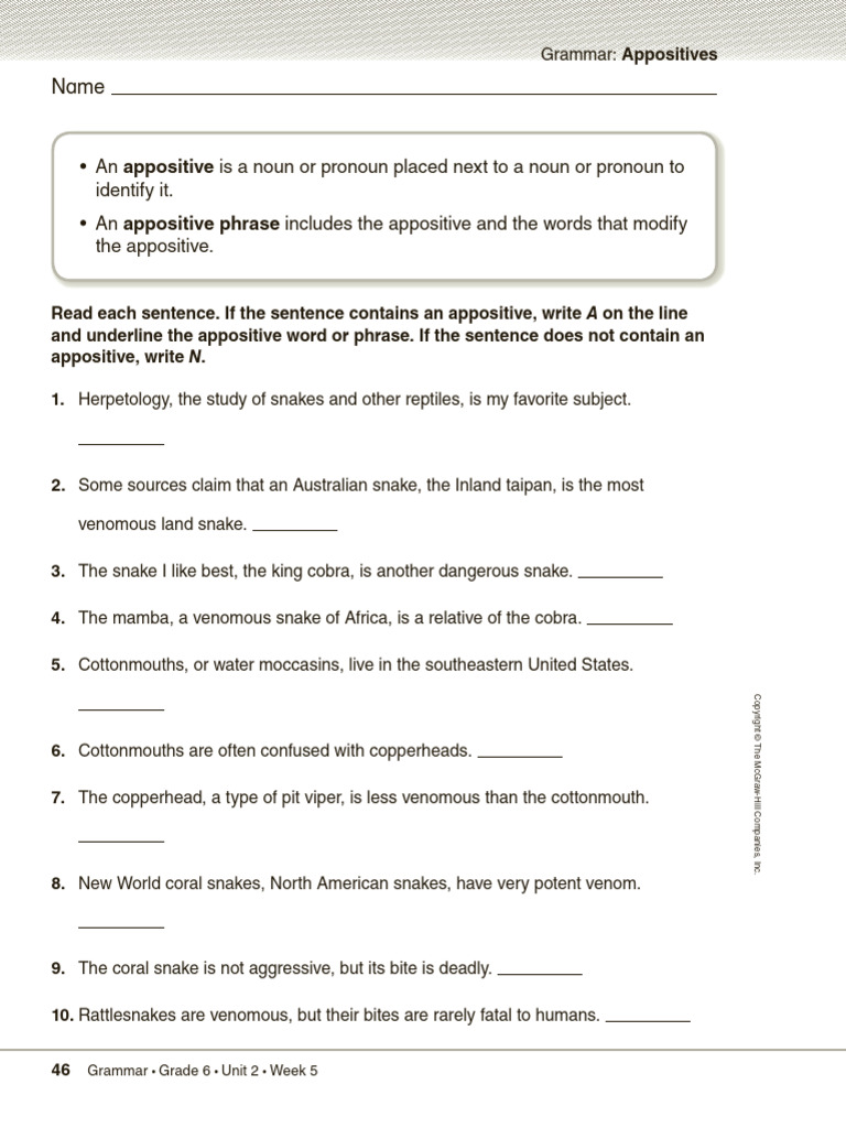 Grammar Workbook APPOSITIVES | PDF | Snake | Language Mechanics