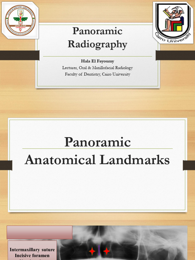 panoramic radiography masters - Copy | PDF | Human Head And Neck ...