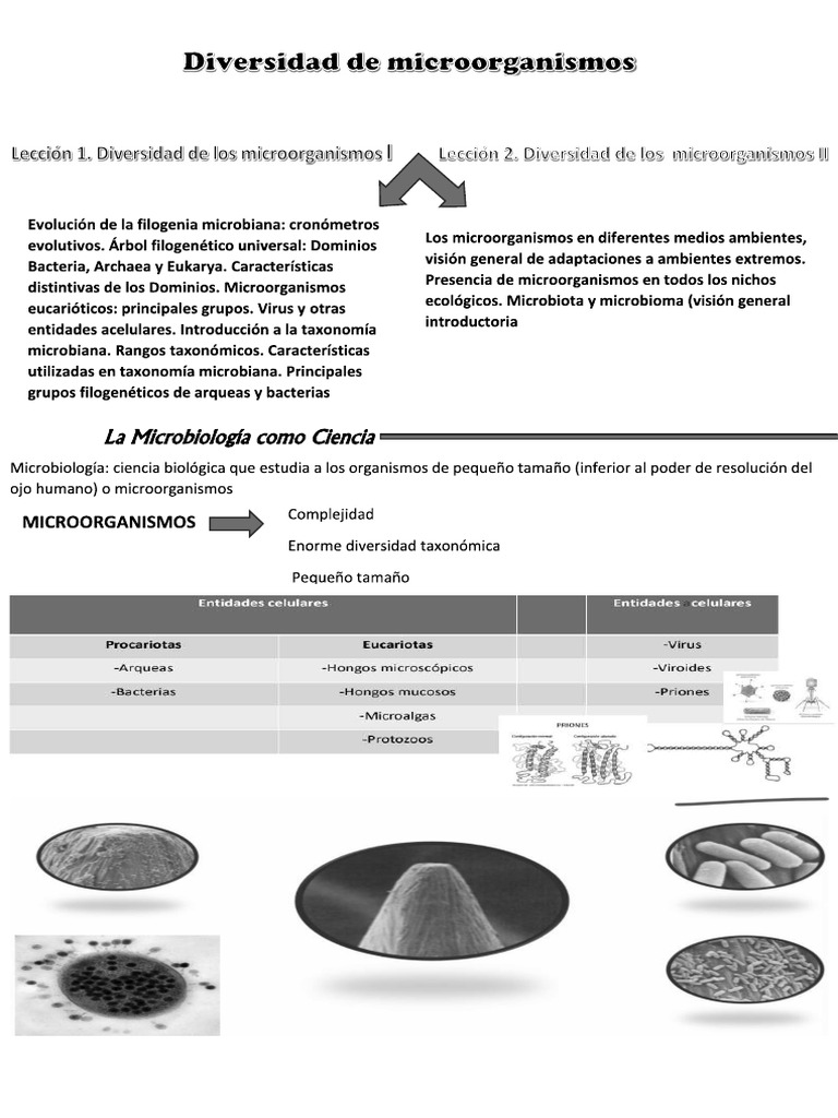 Tema 1 Microb | PDF