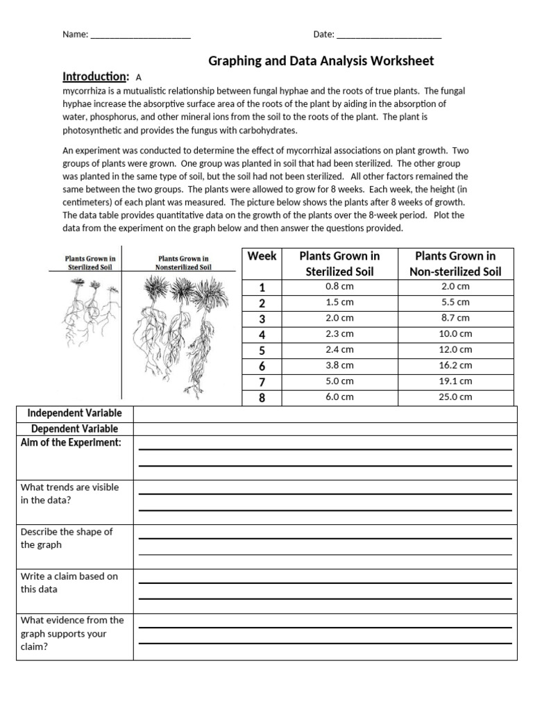 Mycorrhizae Data Analysis Worksheet | PDF | Fungus | Plants