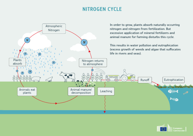 nitrates_directive_nitrogen_cycle_infographic | PDF