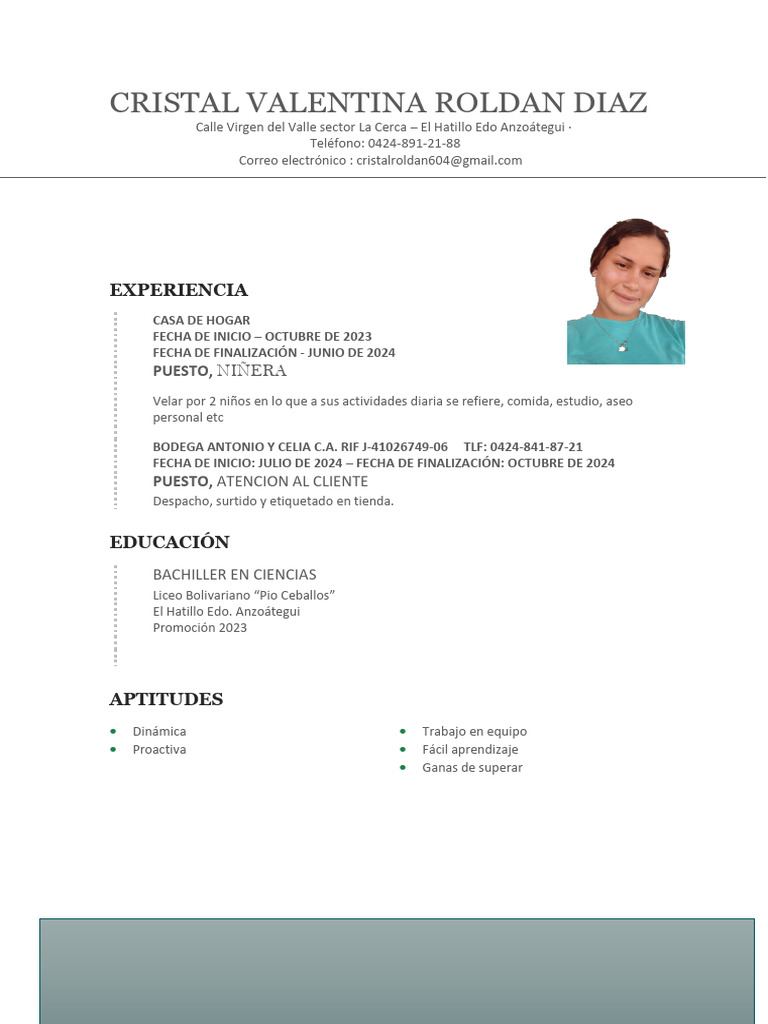 Curriculum Basico | PDF