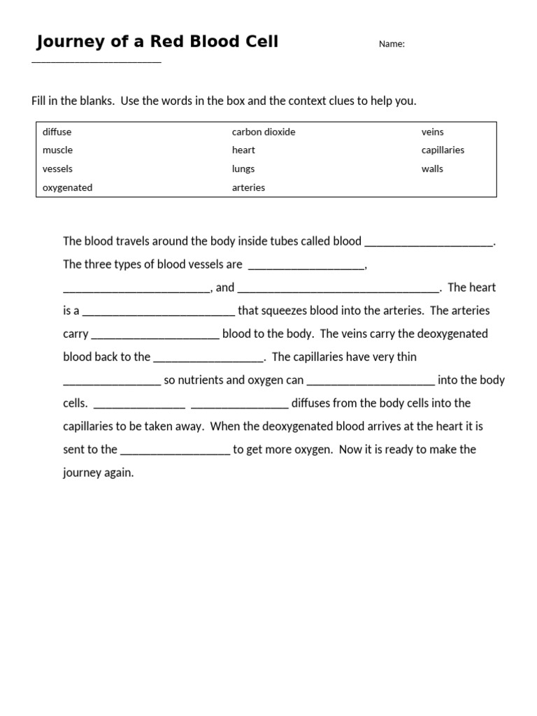 Journey of A Red Blood Cell | PDF