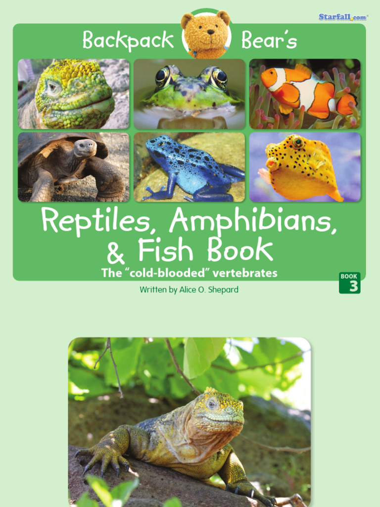 sb882 - Backpack Bears Reptile Book | PDF | Amphibian | Reptile