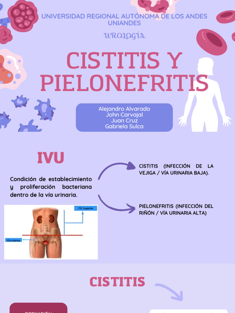 CISTITIS (2) | PDF | Infección del tracto urinario | Microbiología