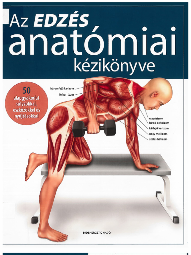 Ken Ashwell - Az Edzés Anatómiai Kézikönyve | PDF