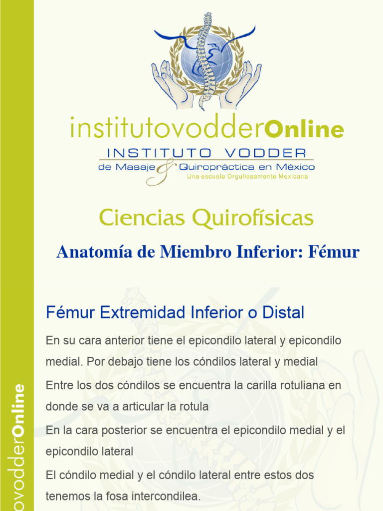 Anatomía MS Inferior - Fémur | PDF | Articulaciones | Sistema ...