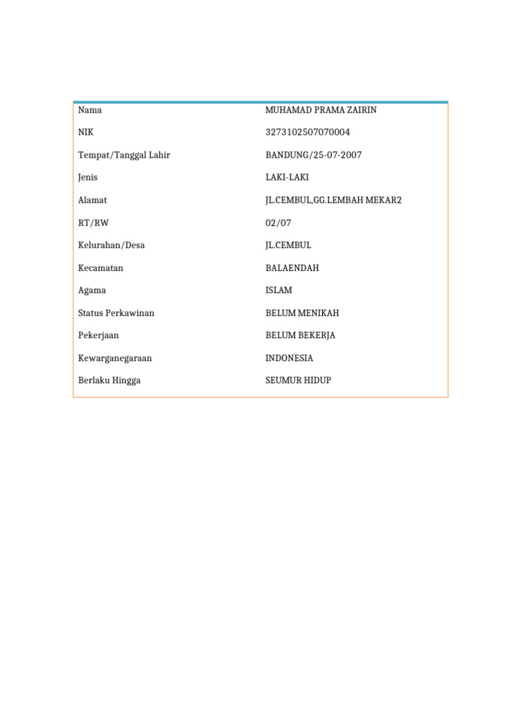 Fotokopi KTP Template | PDF