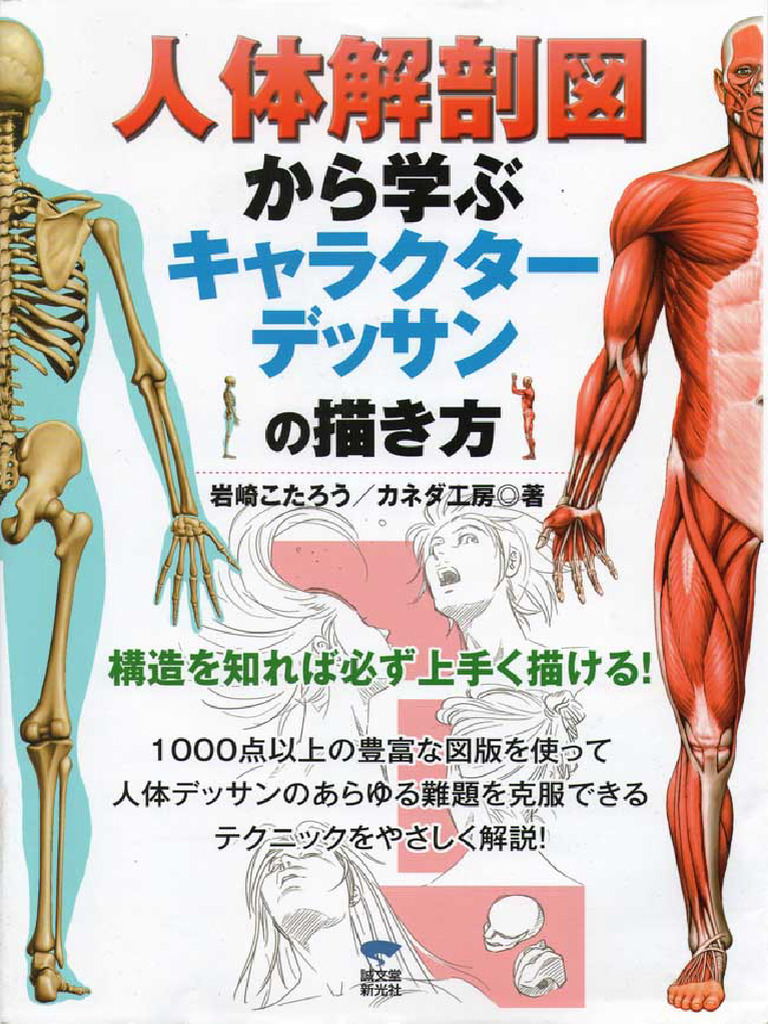 How To Draw Manga - Anatomy (Jap) | PDF