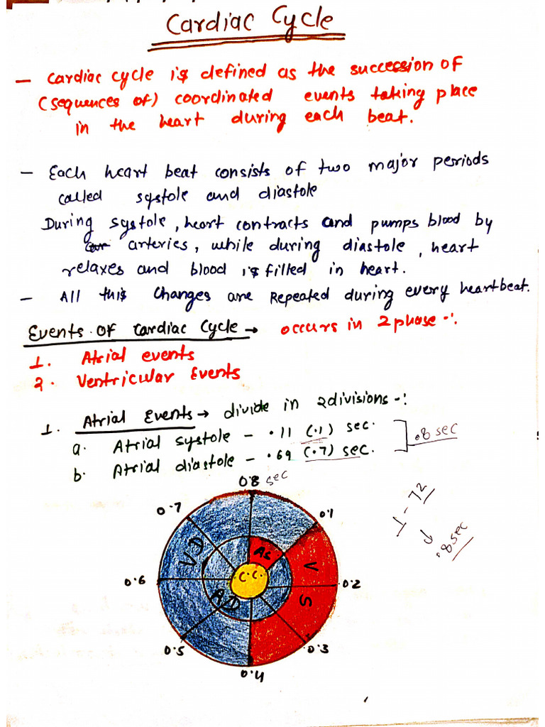 Cardiac Cycle and Its Phase | PDF