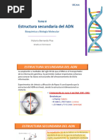 Modelo de Estructura del ADN | PDF | Adn | Nucleótidos