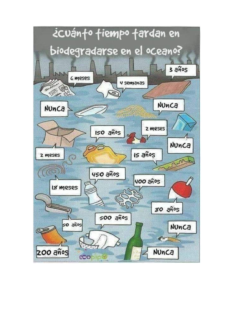 Biodegradacion Del Oceano | PDF