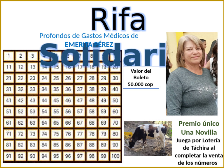 Rifa Solidaria | PDF