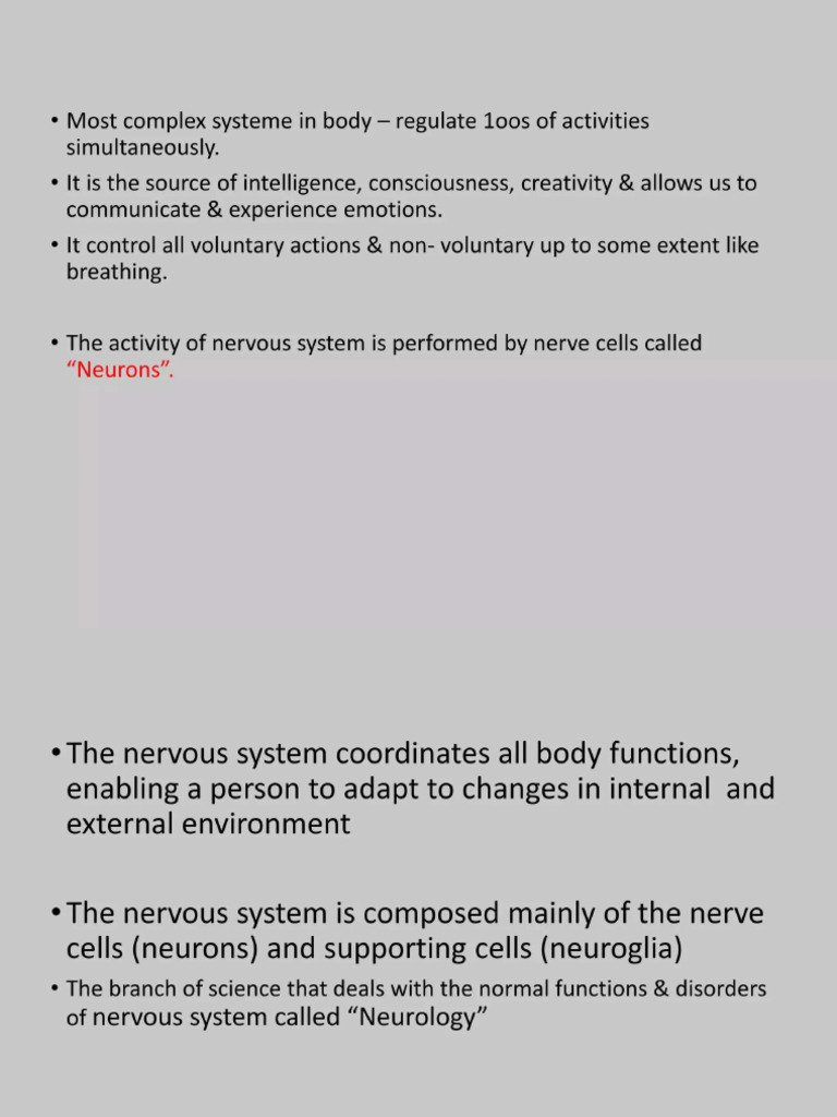 Nervous Tissue Classification | PDF