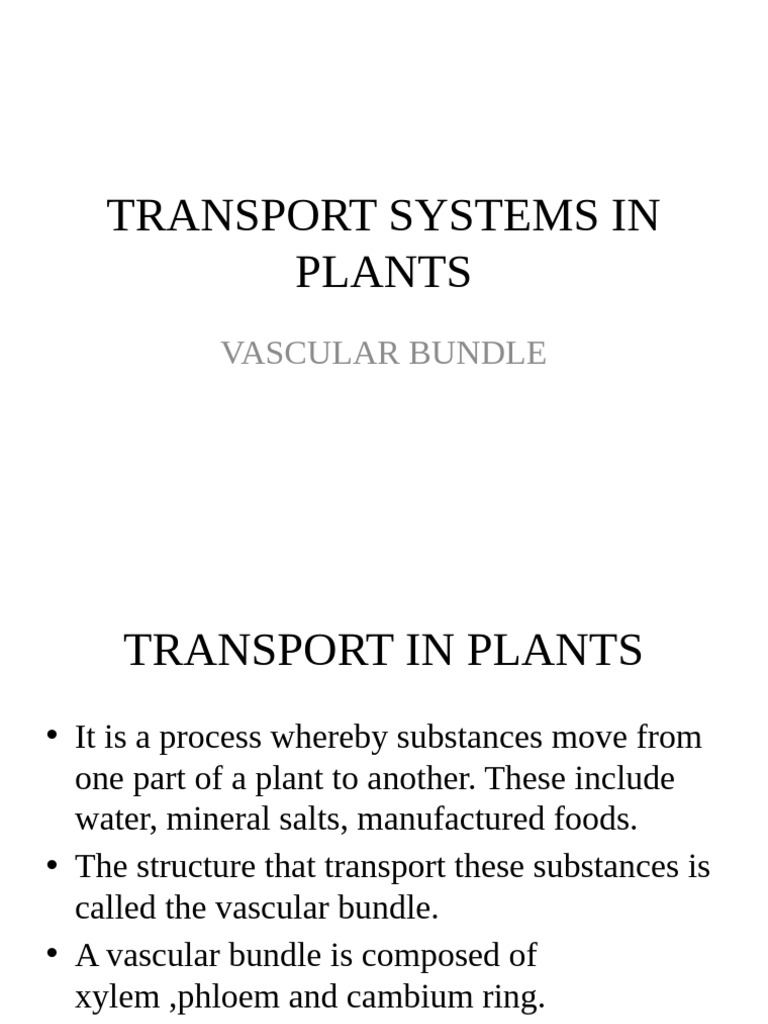 Transport Systems in Plants | PDF