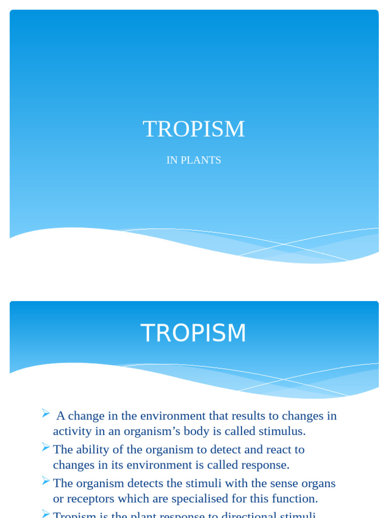 Tropism | PDF | Auxin | Plant Hormone