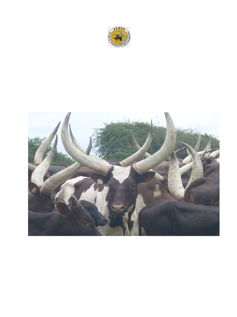 The Ankole Book in Runyankore English Cover 0 | PDF | Bull | Domestication