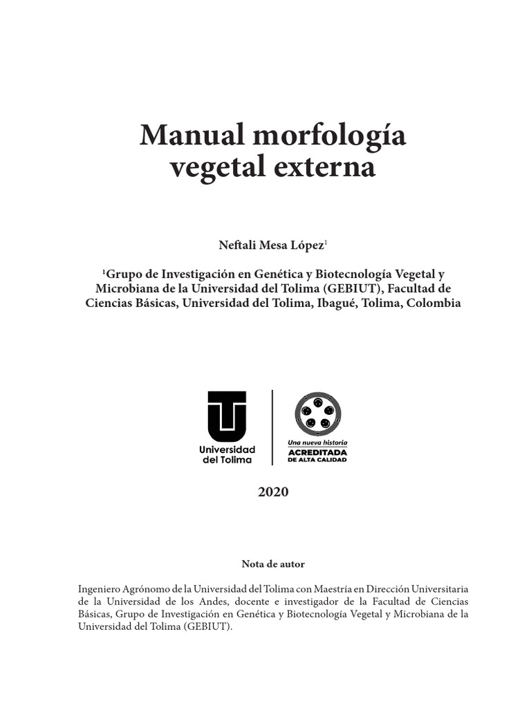 Morfologia - Libro de Neftal - Mesa | PDF | Tallo de la planta | Raíz