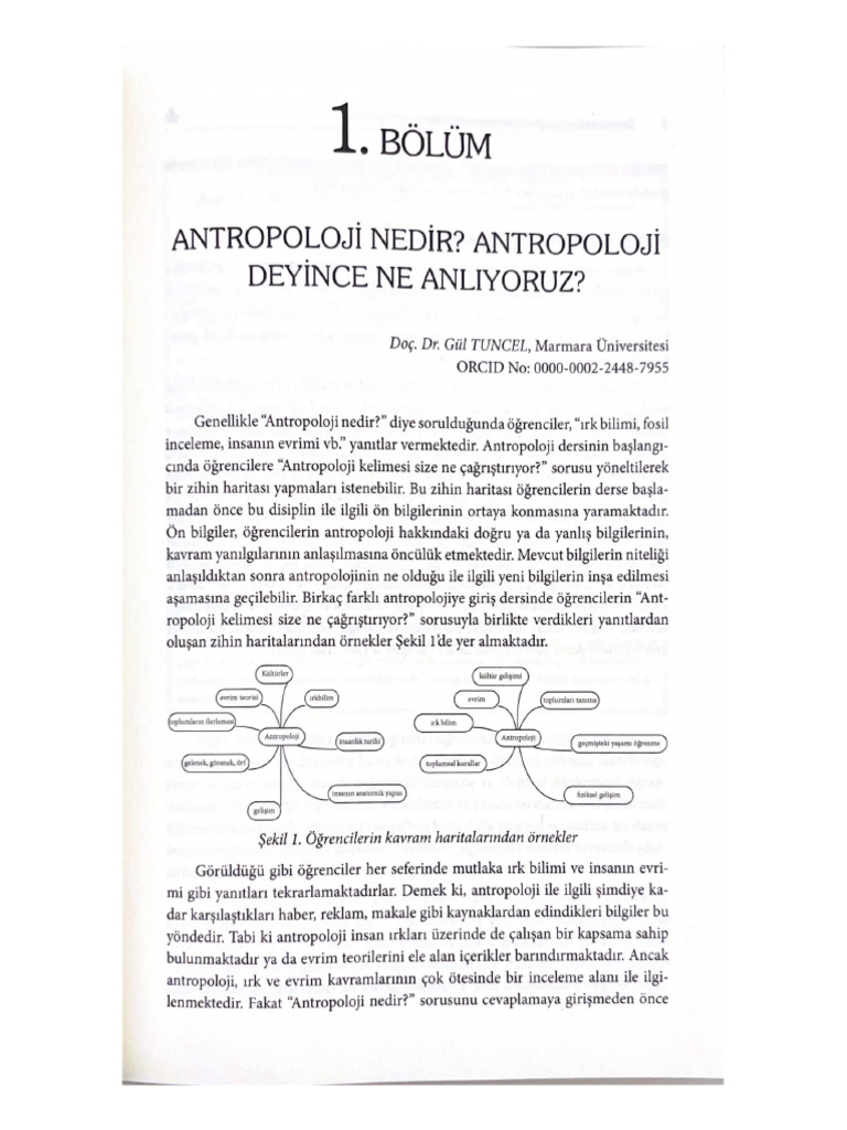 ANTROPOLOJI NEDIR ANTROPOLOJI | PDF