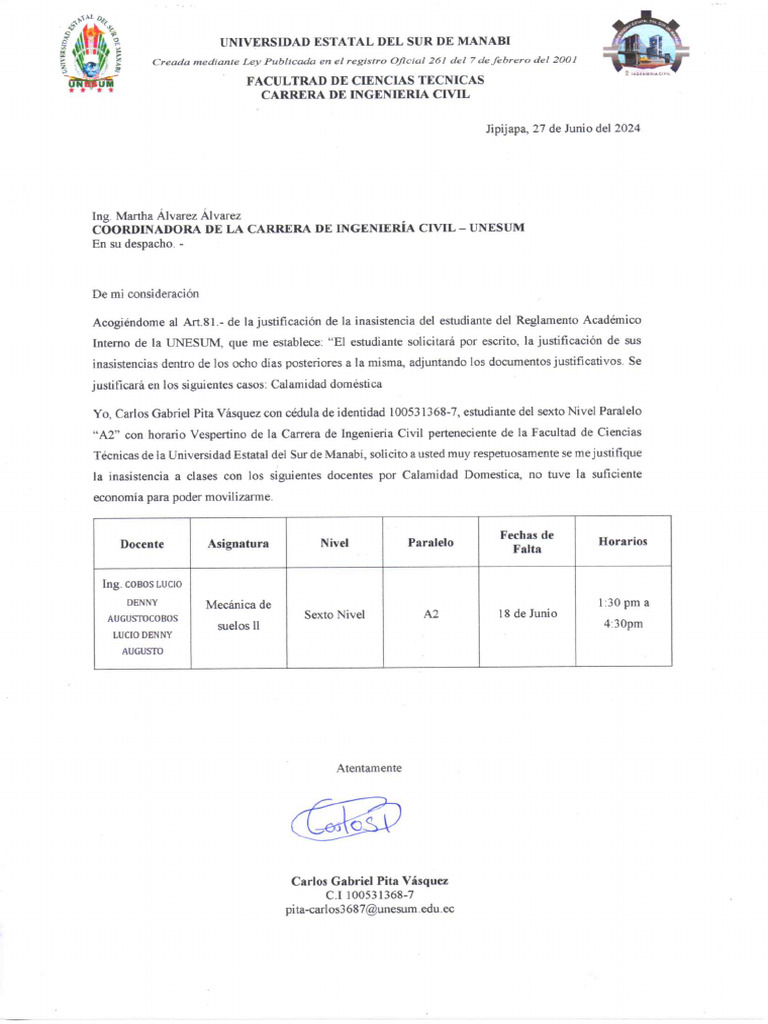 Justificacion de Flata Carlos Pita | PDF
