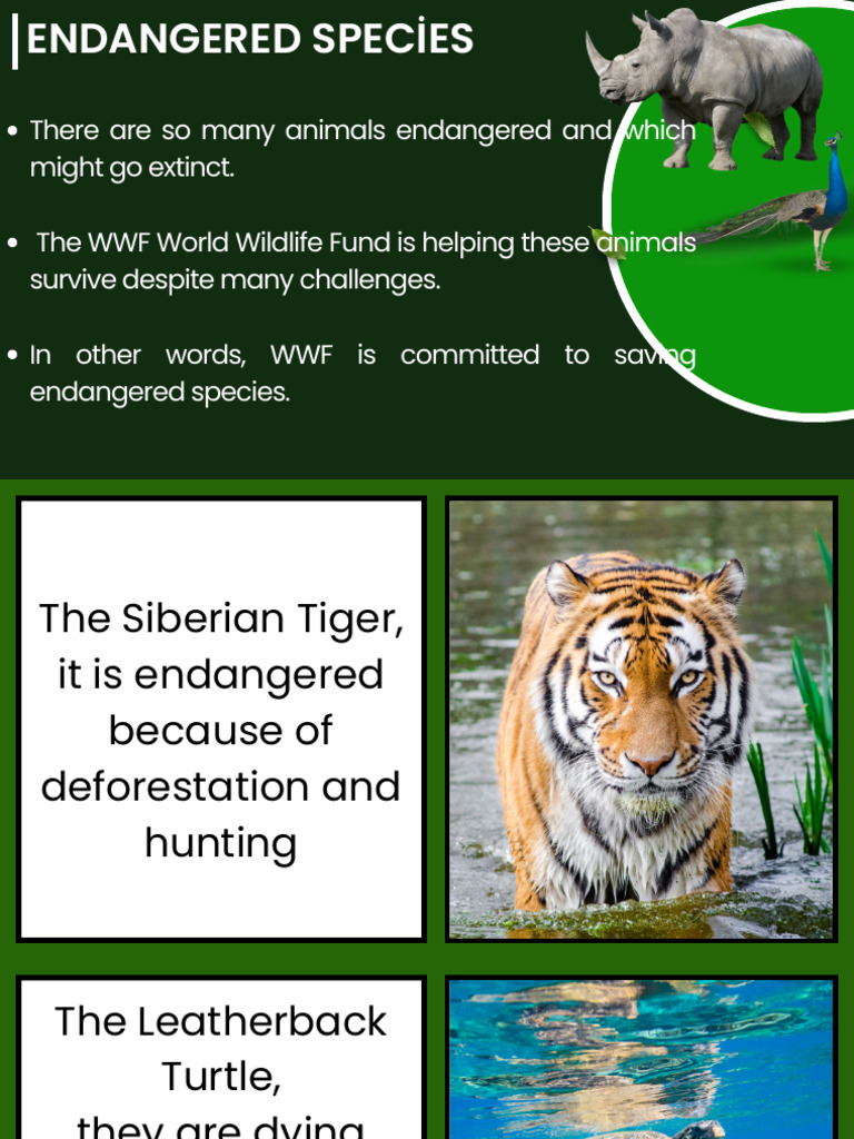 Endangered species | PDF