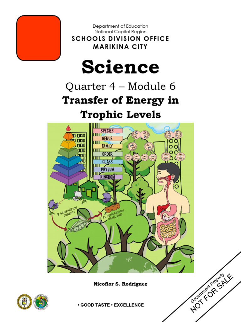 Energy Transfer in Trophic Levels | PDF | Food Web | Foods