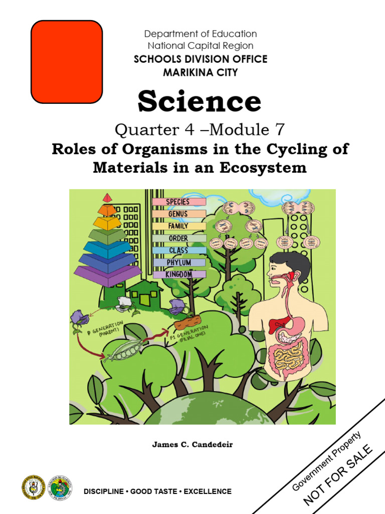 SCI8 - Q4 - M7 - Roles of Organisms in The Cycling of Materials in An Ecosystem | PDF ...